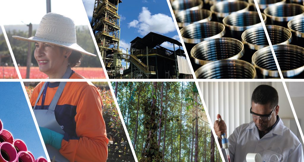 New institutional video of Vallourec Florestal Unit - Brazil