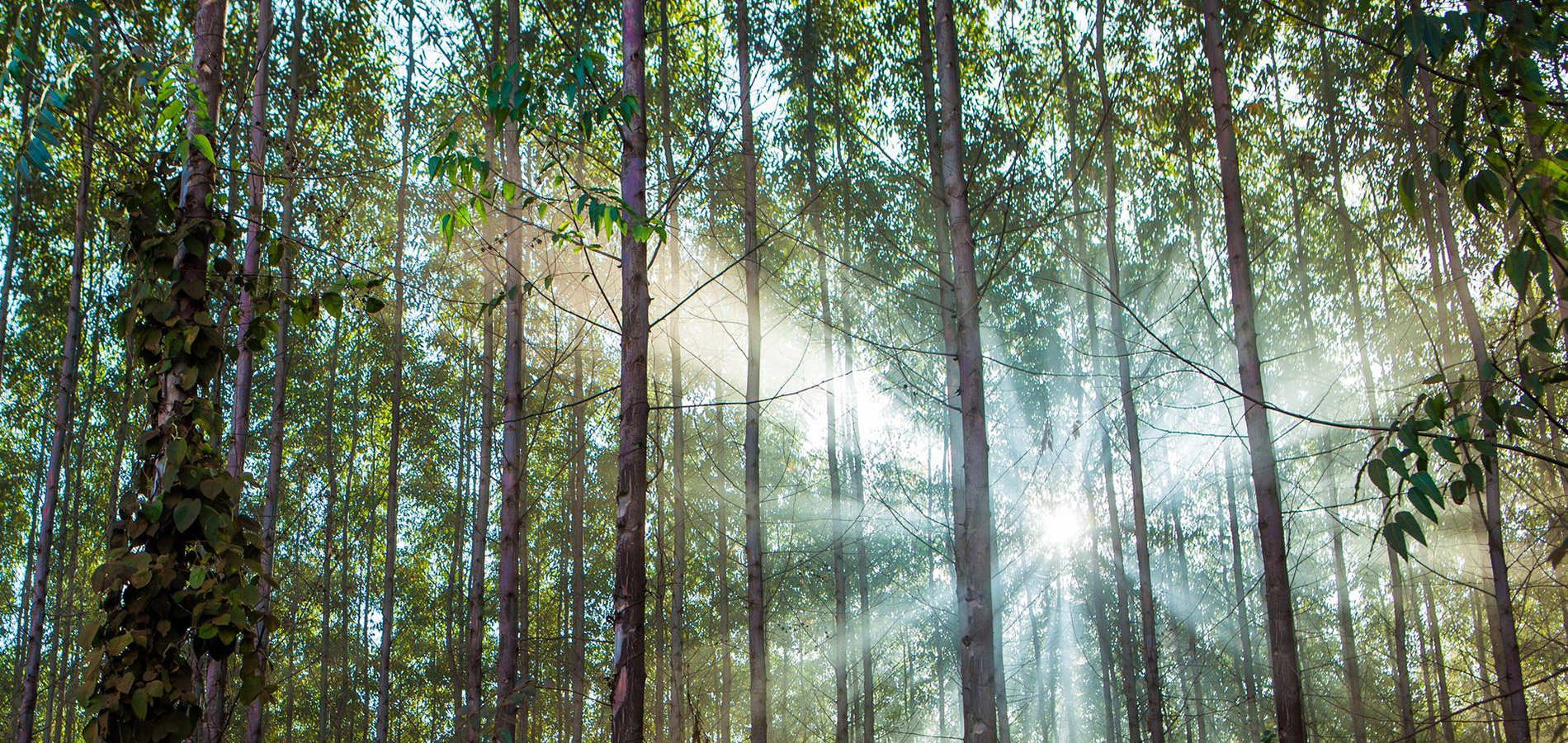 2023 年 CDP 评级 - China